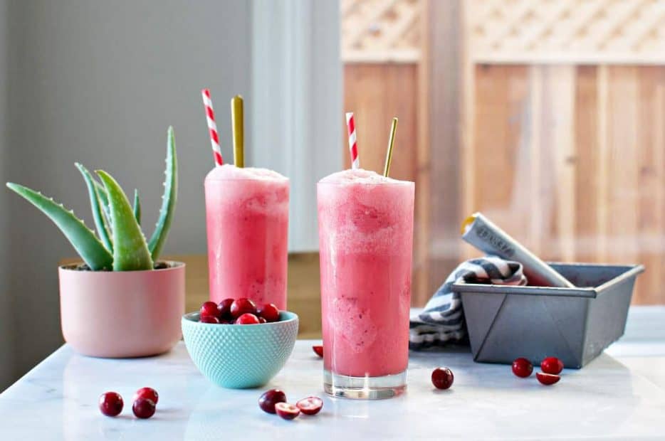 Cranberry Sherbet Freezes (Dairy-Free) - the pig & quill